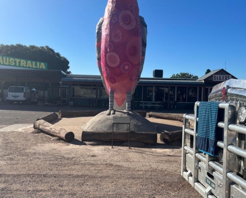 Willy Maykit - IPWR- Indian Pacific Wheel Ride 2022