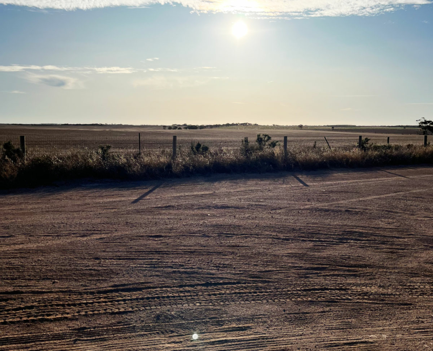 Willy Maykit - IPWR- Indian Pacific Wheel Ride 2022