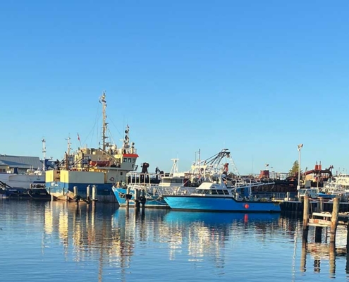 Willy Maykit - IPWR- Indian Pacific Wheel Ride 2022